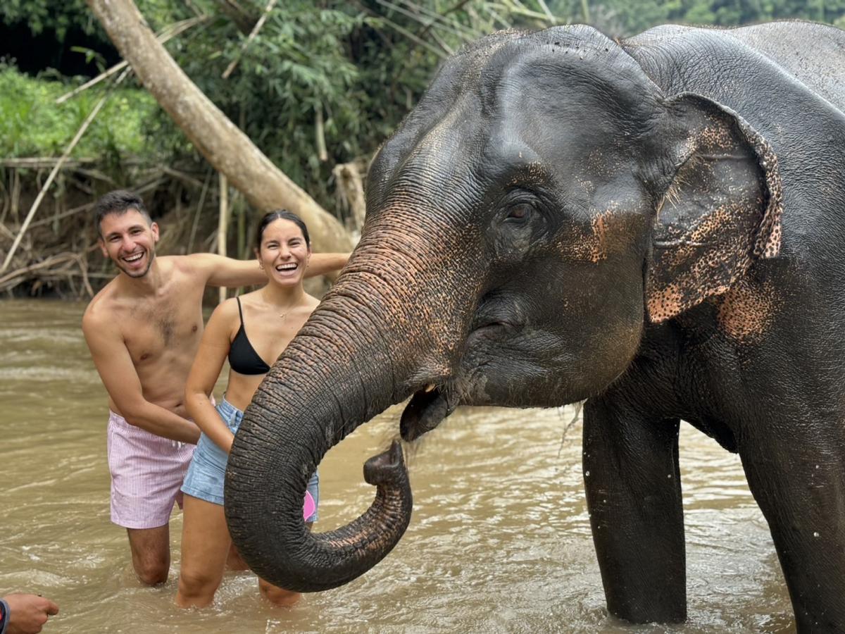 Elephant Sanctuary, Waterfall & Bamboo Rafting : Elephant ChiangMai Thailand Elephant Sanctuary ...